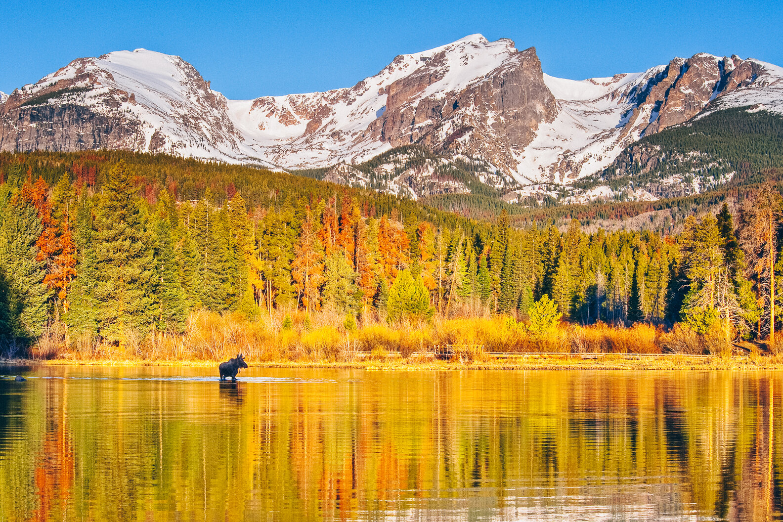 Best U.S. National Parks to Visit During the Fall: Good Spots to Hit ...