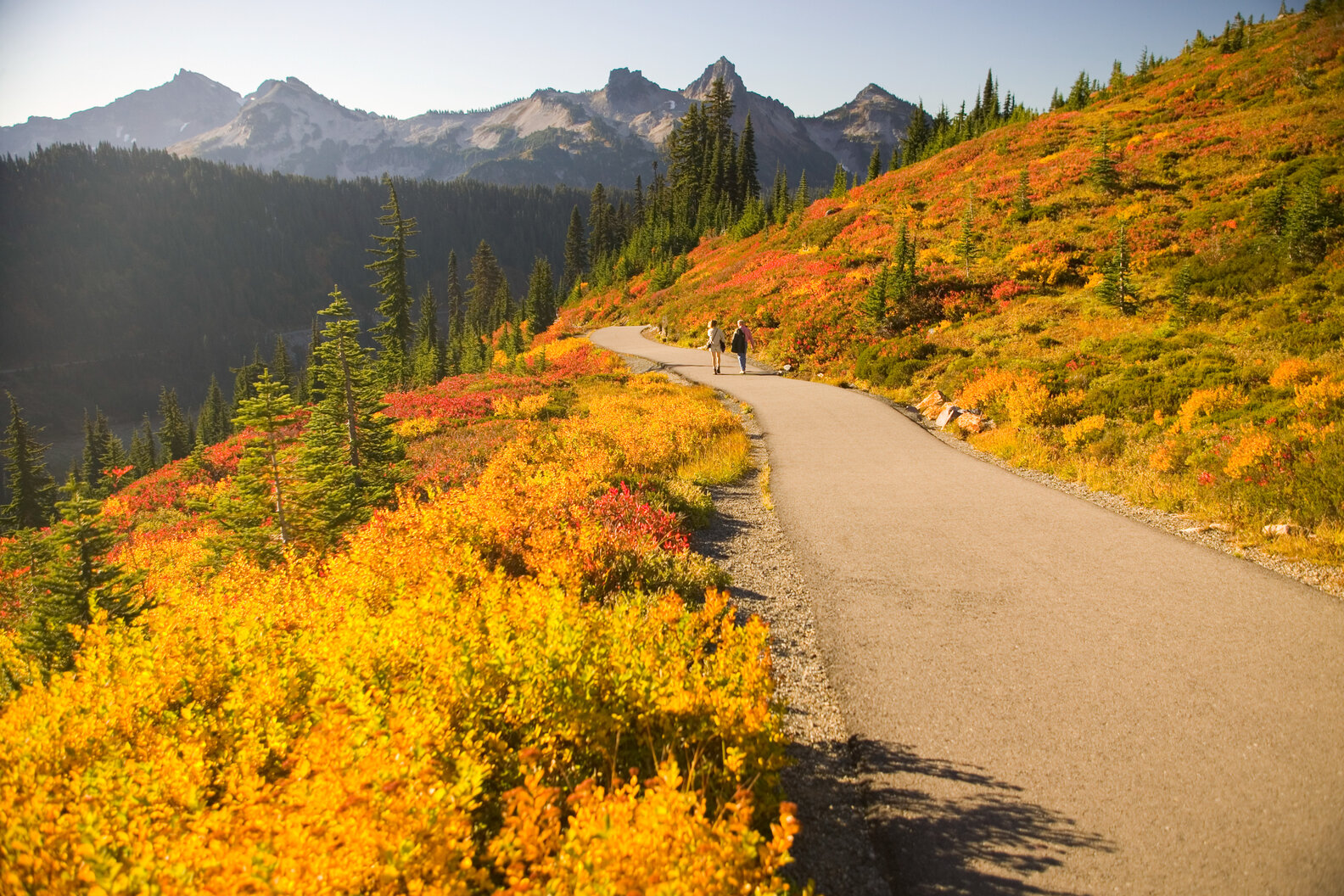 Best U.S. National Parks to Visit During the Fall: Good Spots to Hit ...