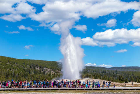Yellowstone National Park Visitor Suffers Burns From Old Faithful Hot ...