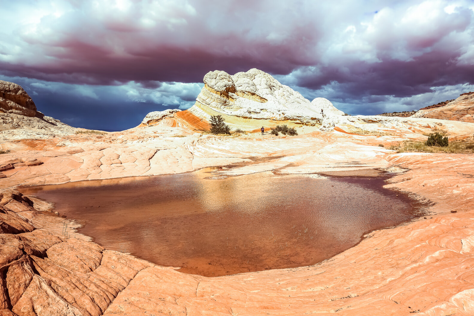 Vermilion Cliffs National Monument Guide: The Wave, White Pocket & More ...