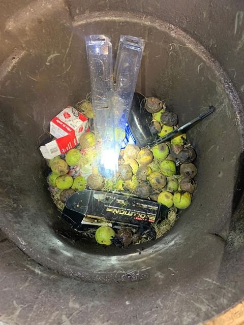 Family Finds Hundreds Of Nuts Hidden Under Car Hood - The Dodo