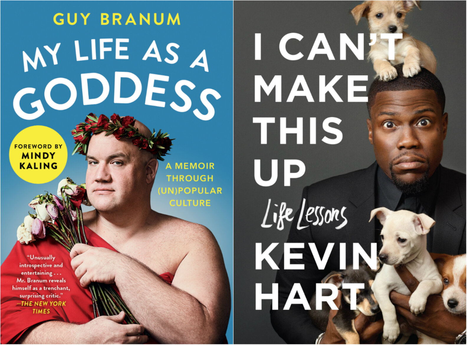 Funniest Audiobooks of All Time: Best Comedy Audiobooks Worth a Listen ...
