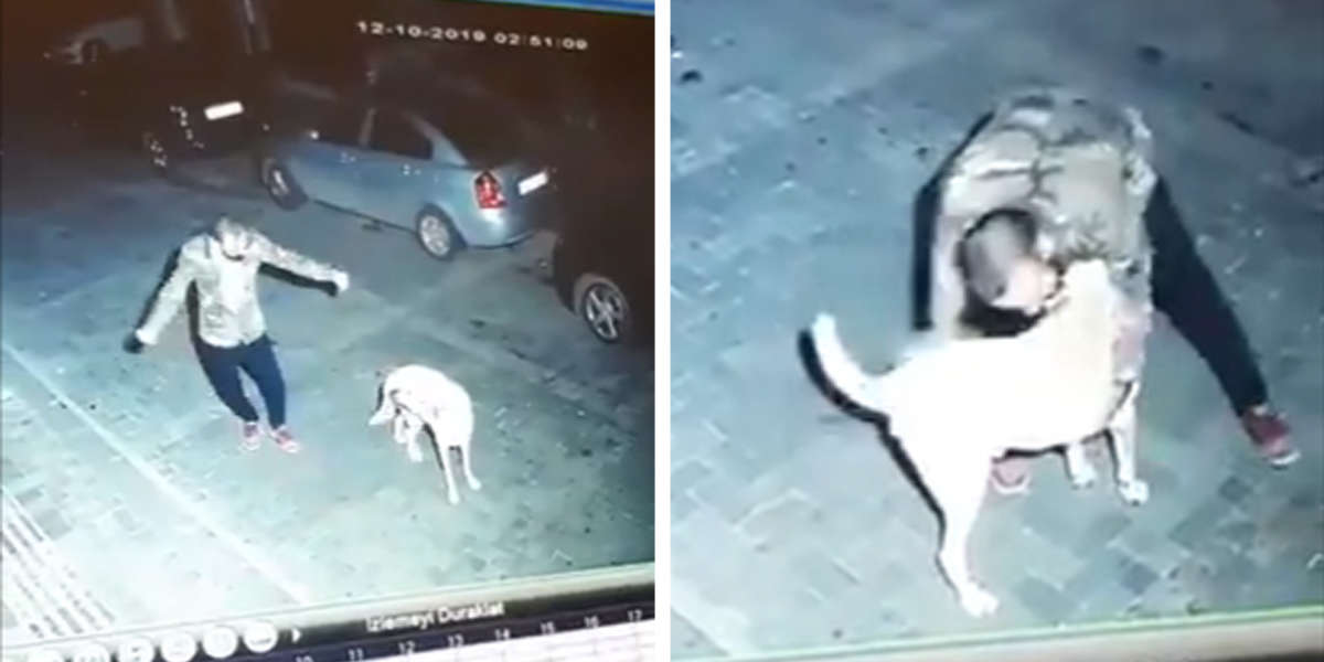 Security Camera Catches Man Sharing Adorable Dance With Stray Dog - The ...