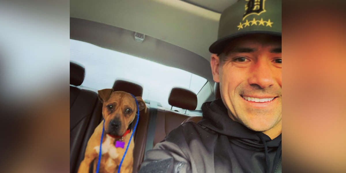 This Cop Rescues Pit Bulls Everywhere He Goes - Videos - The Dodo