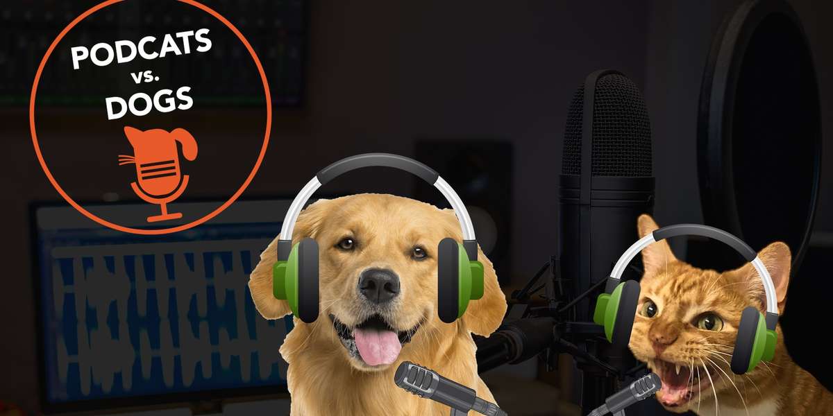 Cats vs. Dogs: The Podcast - Videos - The Dodo