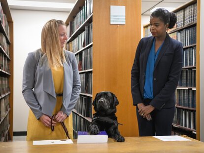 Service Dog Takes Oath as Emotional Support Animal at Chicago Court ...