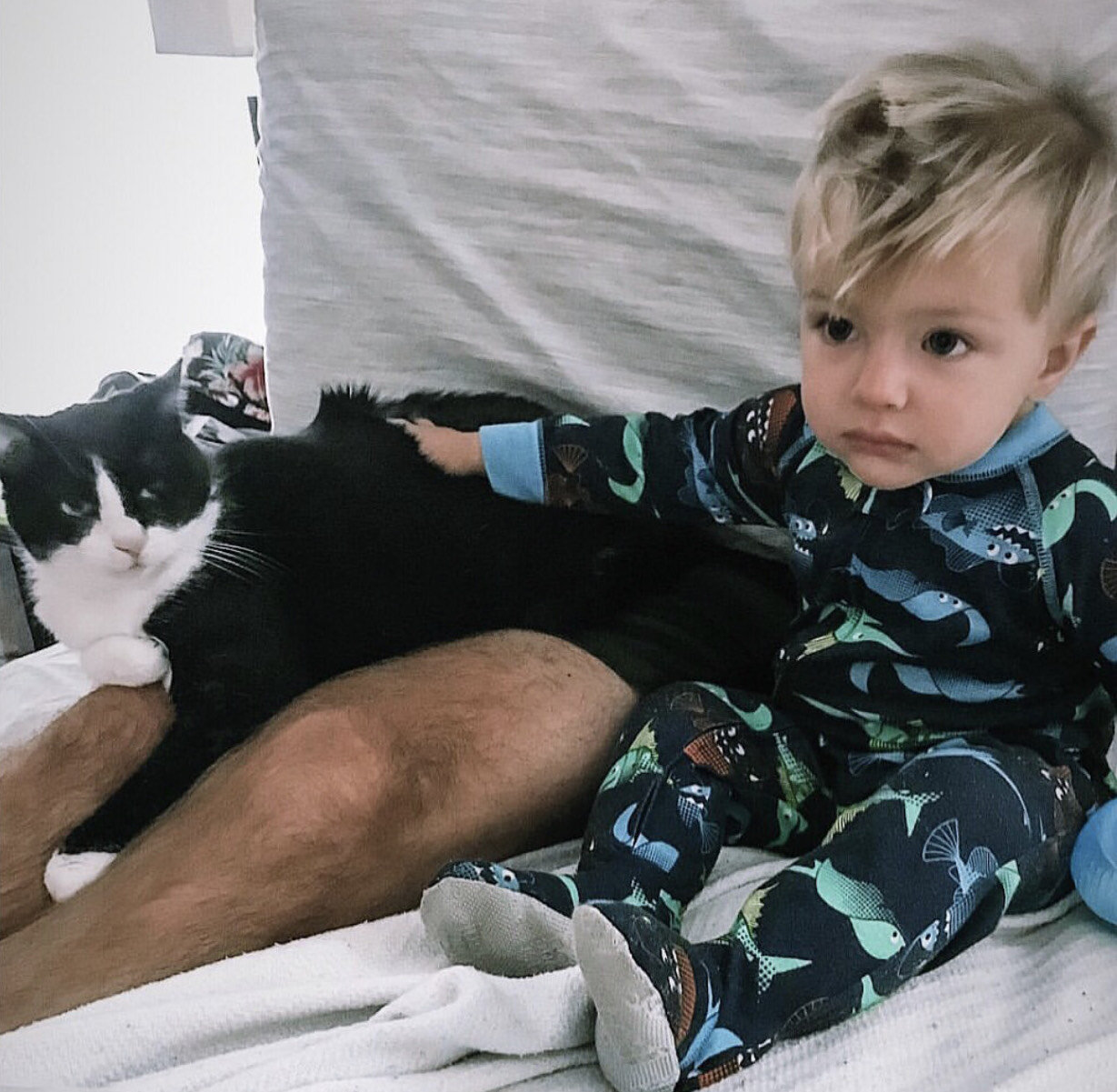 Little Boy And Cat Caught Having The Cutest Conversation - The Dodo