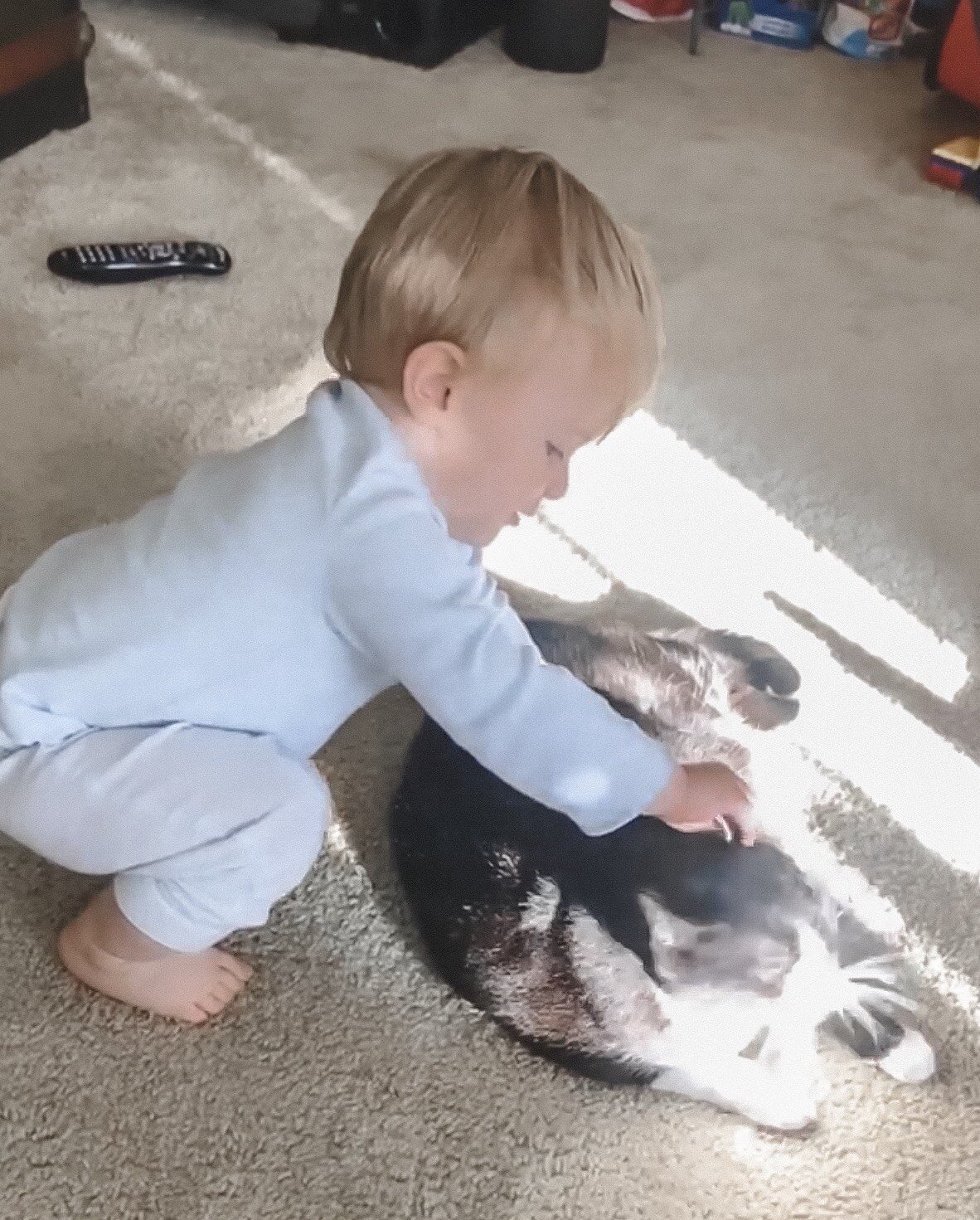 Little Boy And Cat Caught Having The Cutest Conversation - The Dodo