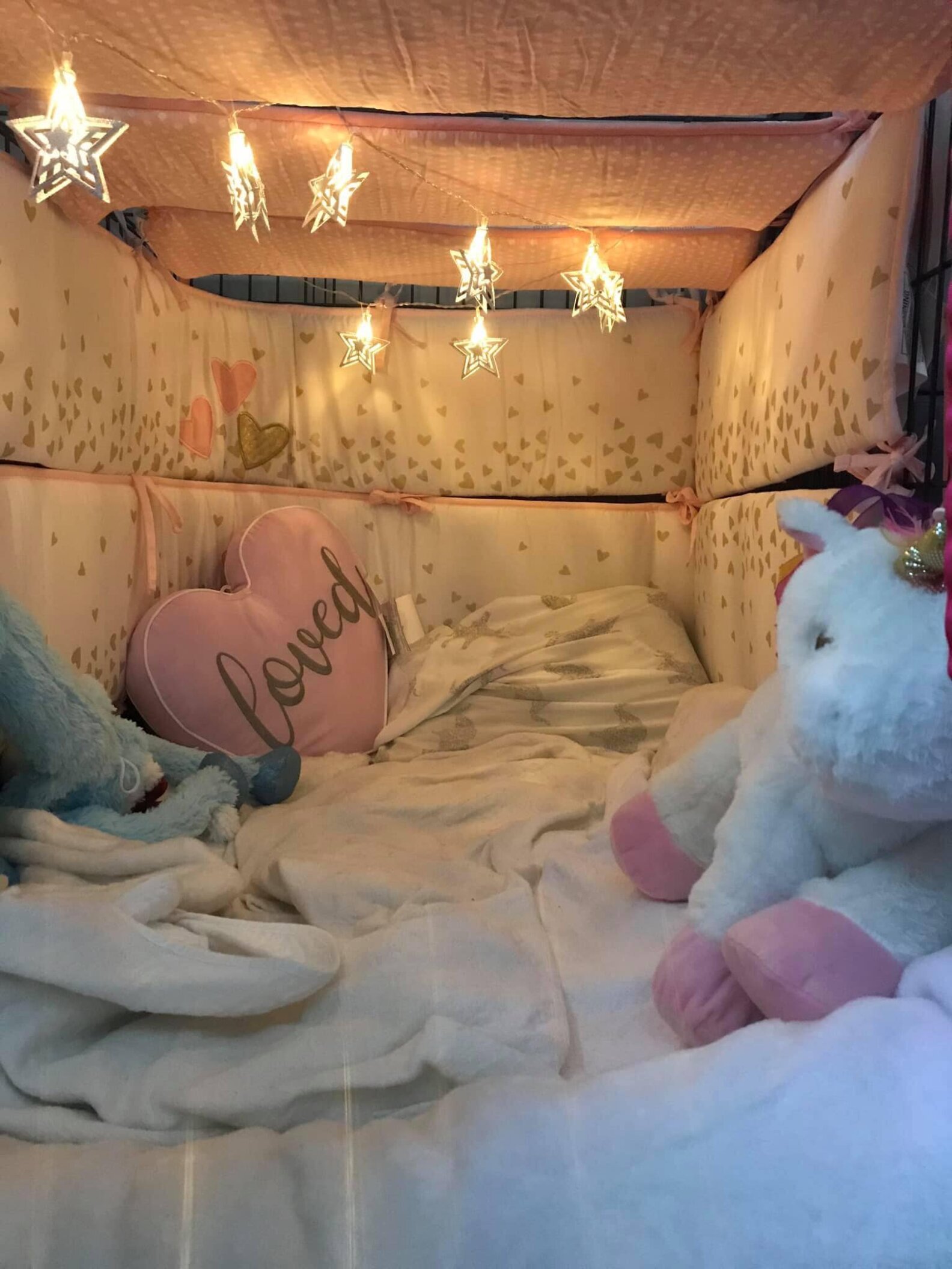 Woman Decorates Rescue Dog's Crate - The Dodo