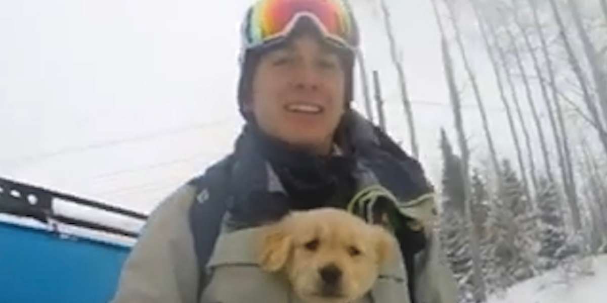 Dog And His Dad Do Every Sport Possible Together - Videos - The Dodo