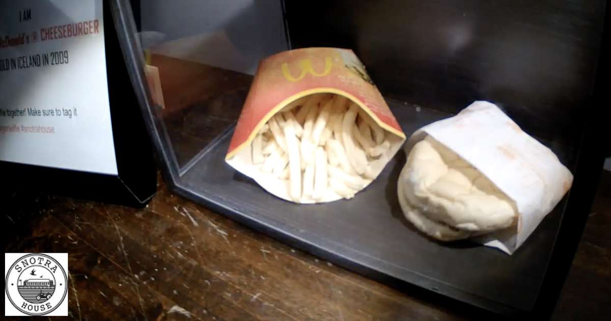 Iceland McDonald's Live Feed: Burger Still Not Decayed After 10 Years - Thrillist