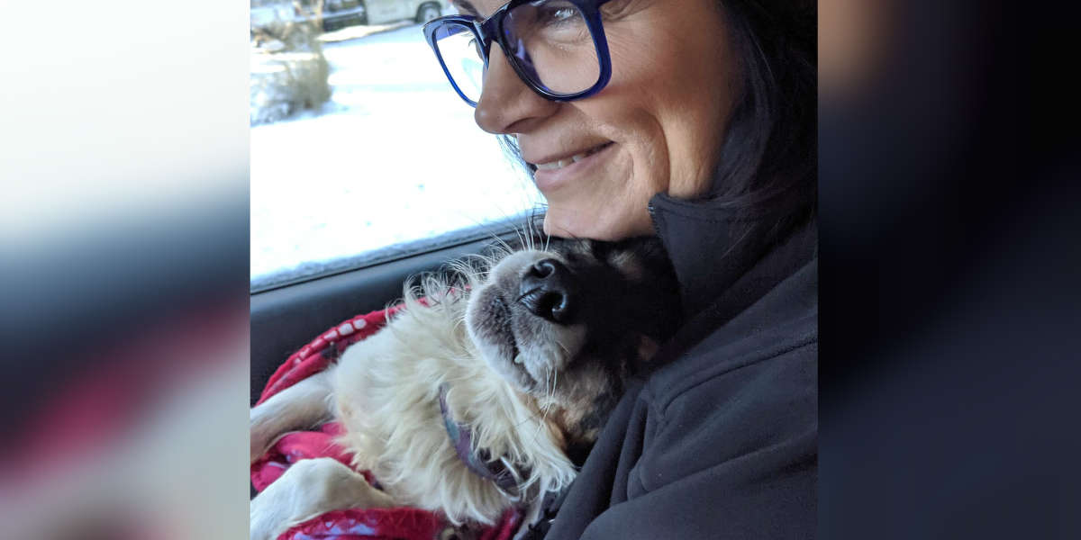 Dog Saved From Freezing Snow Is So Grateful To Be Safe - The Dodo