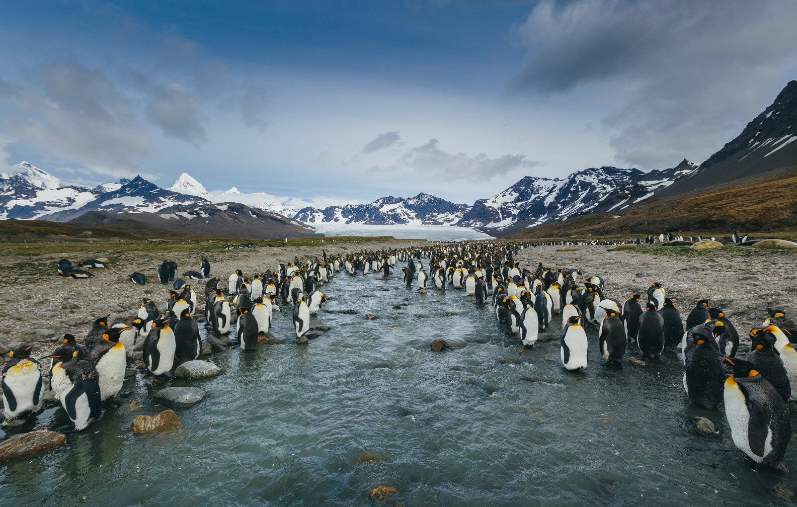 Best Places to Visit in Antarctica: Beautiful Islands & Towns to See ...