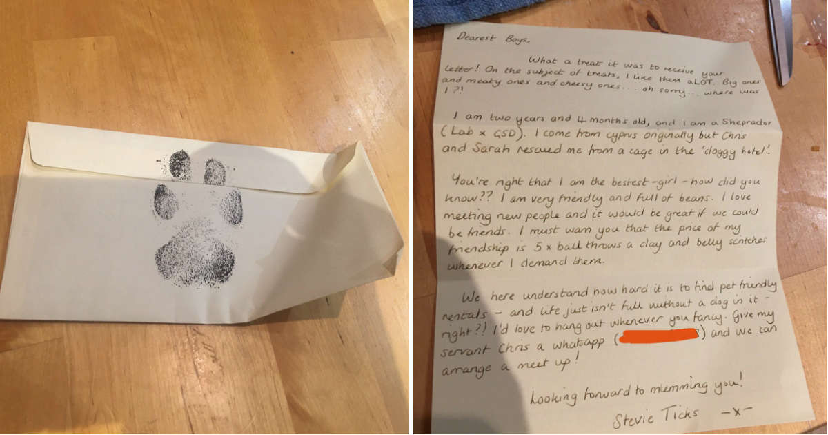 Guys Write Letter To Neighbor's Dog And Get The Best Response - The Dodo
