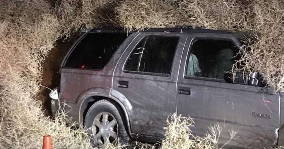 Tumbleweeds Trap Multiple Drivers on a Highway in Washington State ...