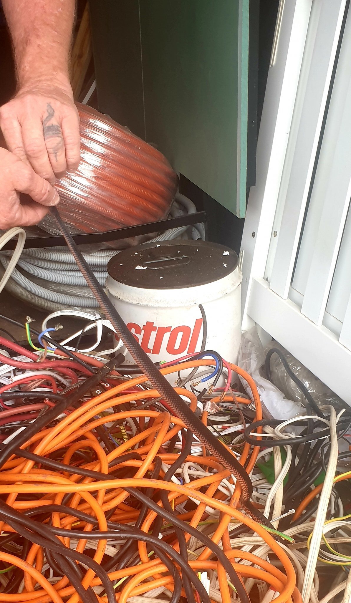 Snake Hides In Pile Of Electrical Wires - The Dodo