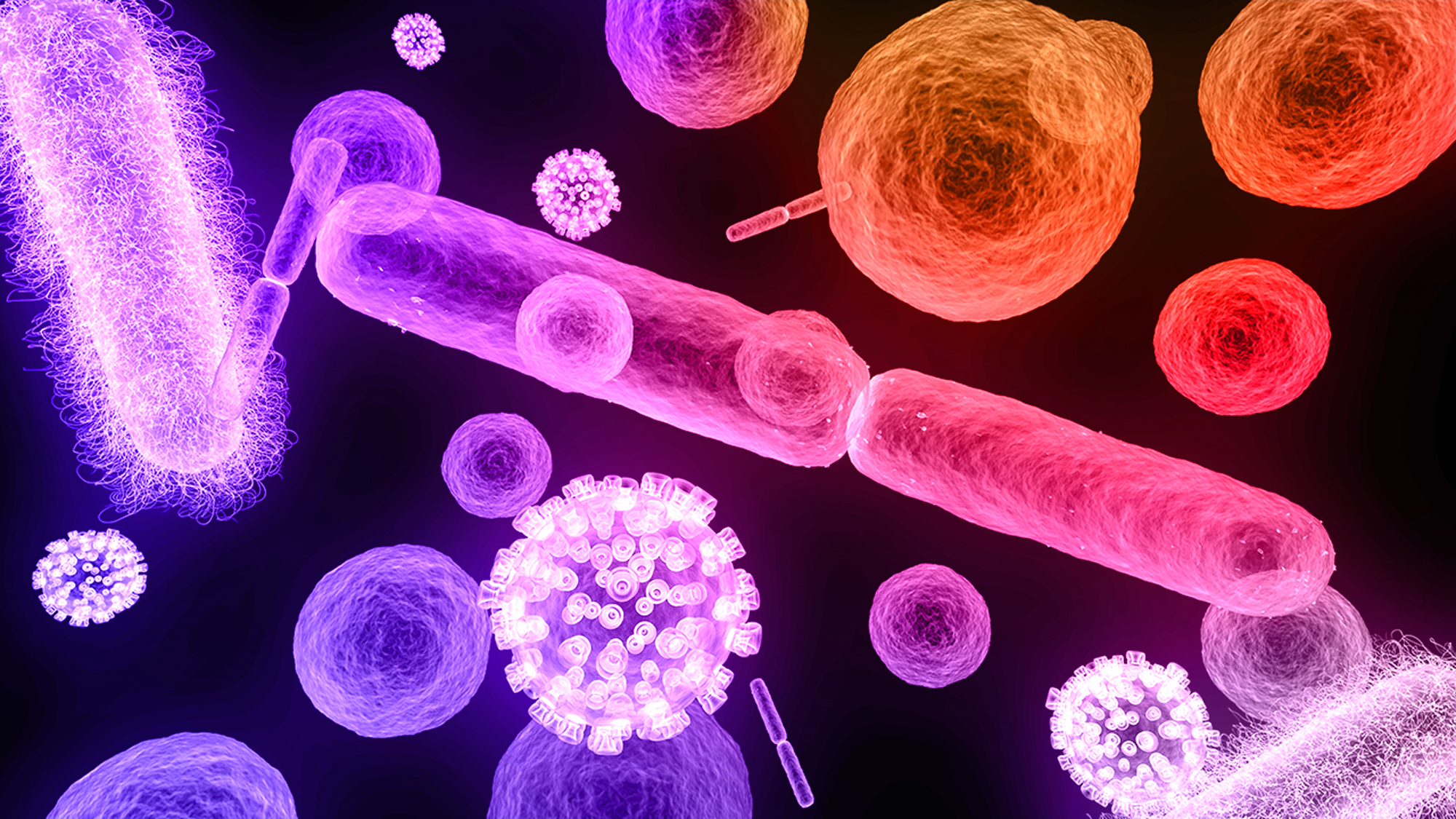 Flesh Eating Bacteria Microscope