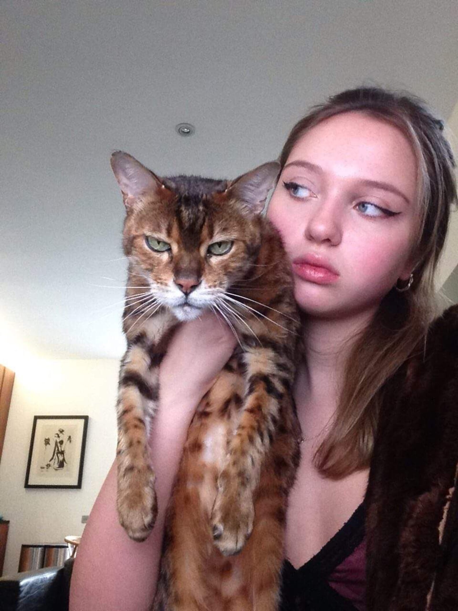 Smart Cat Shocks Owner By Teaching Himself To Use The Toilet - The Dodo