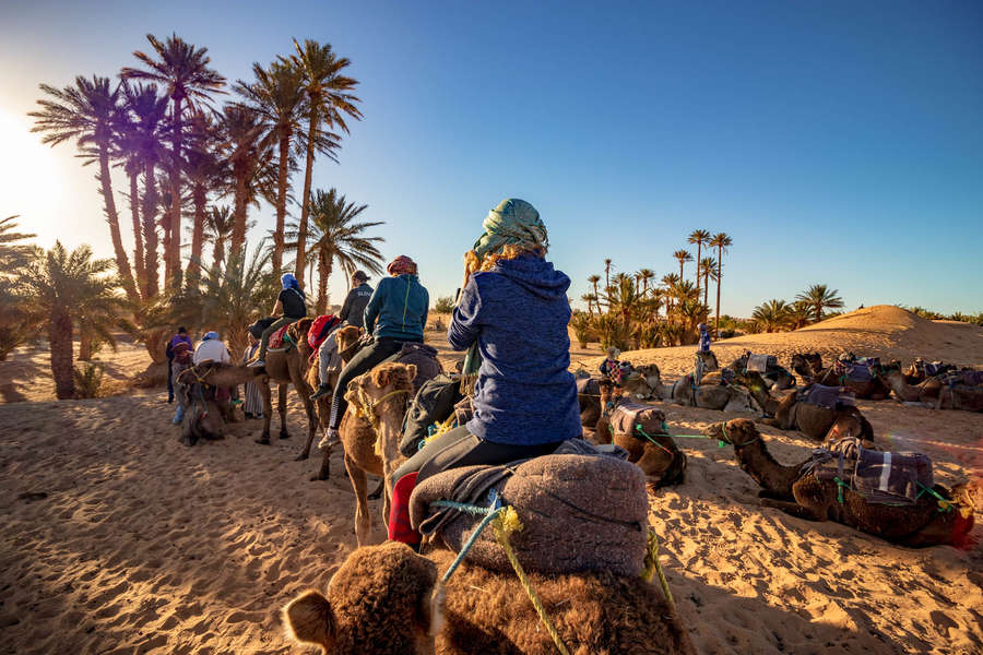 Marrakesh, Morocco Trip Itinerary: How to Join Us for an Epic 8-Day ...