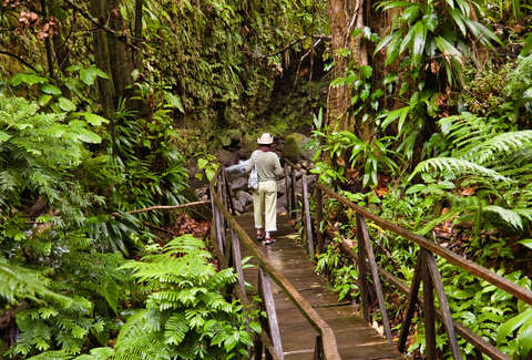 Dominica Vacation Planner: 5-Day Trip Itinerary & Travel Guide - Thrillist