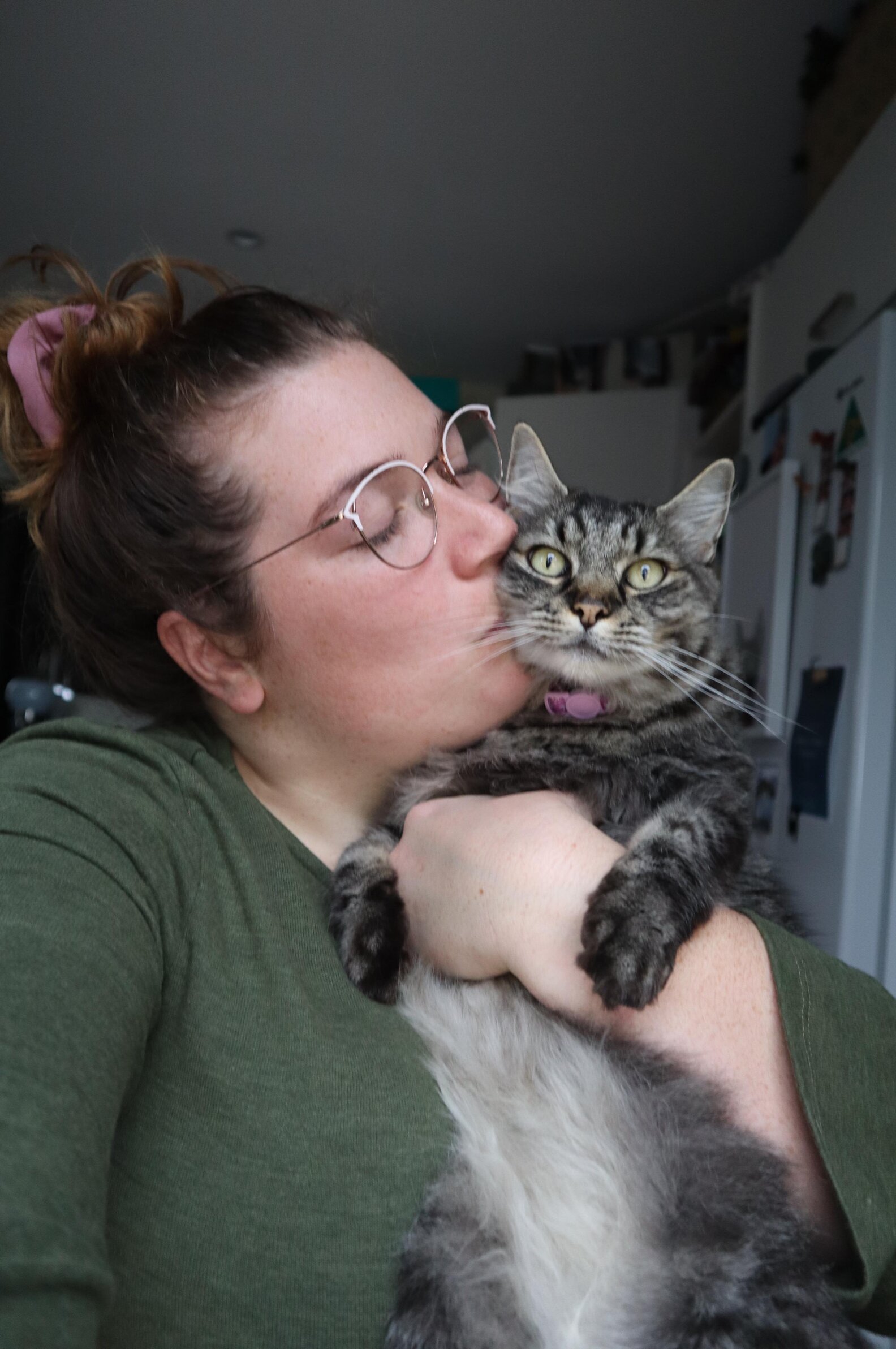 Cat Reunited With Family After 6 Years - The Dodo