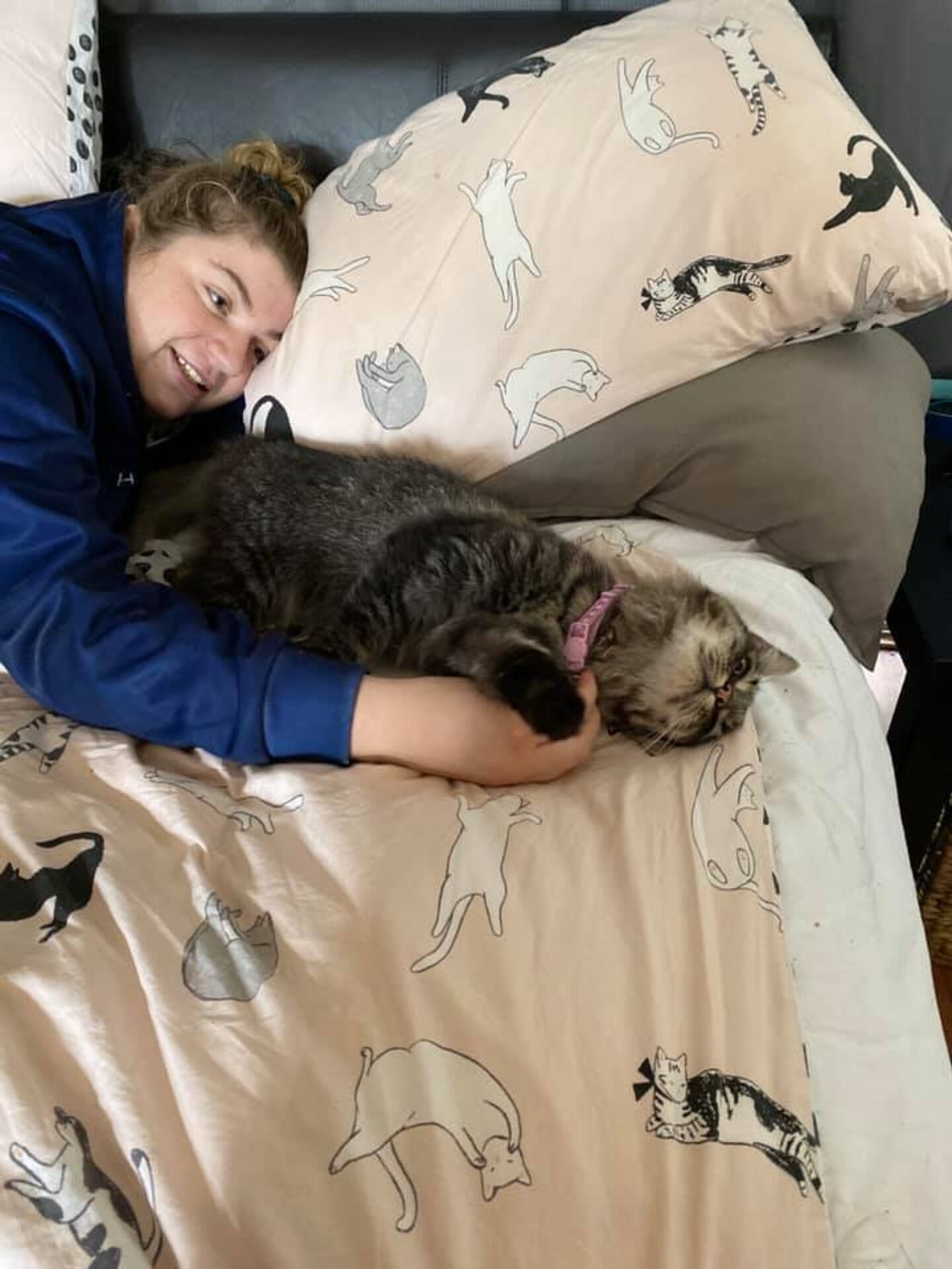 Cat Reunited With Family After 6 Years - The Dodo