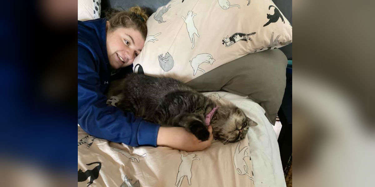 Cat Reunited With Family After 6 Years - The Dodo