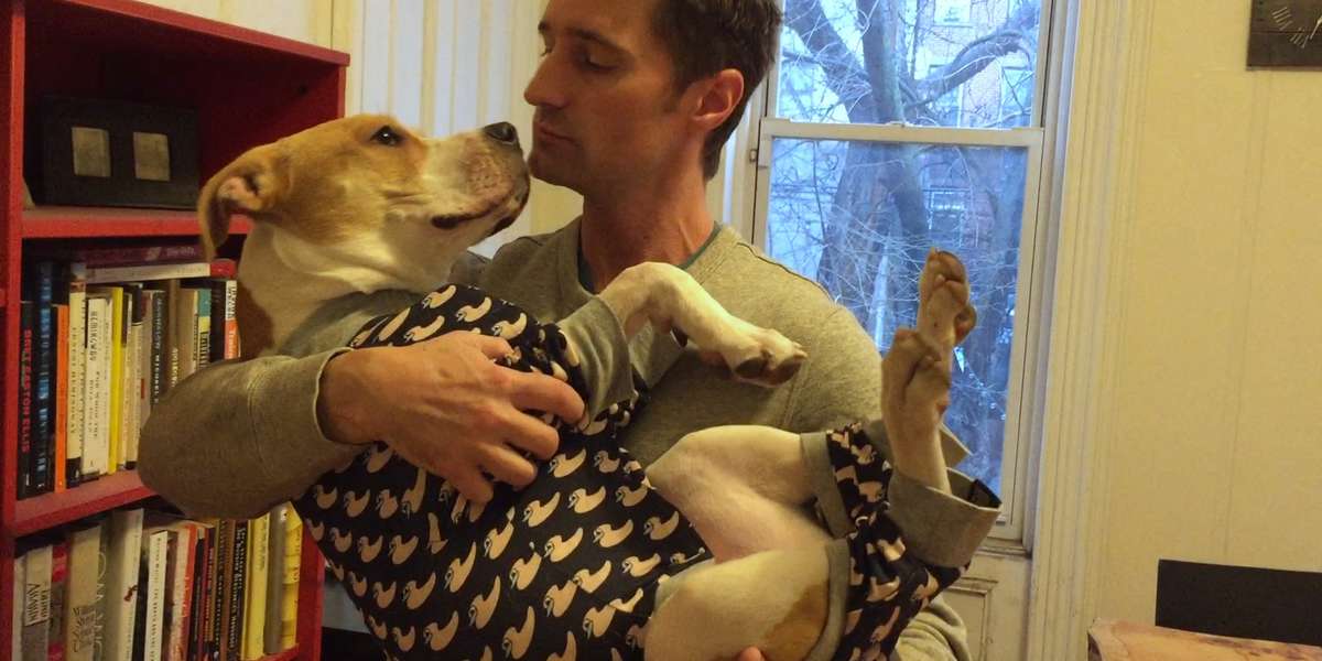 What It’s Like To Fall In Love With Your Rescue Dog - Videos - The Dodo