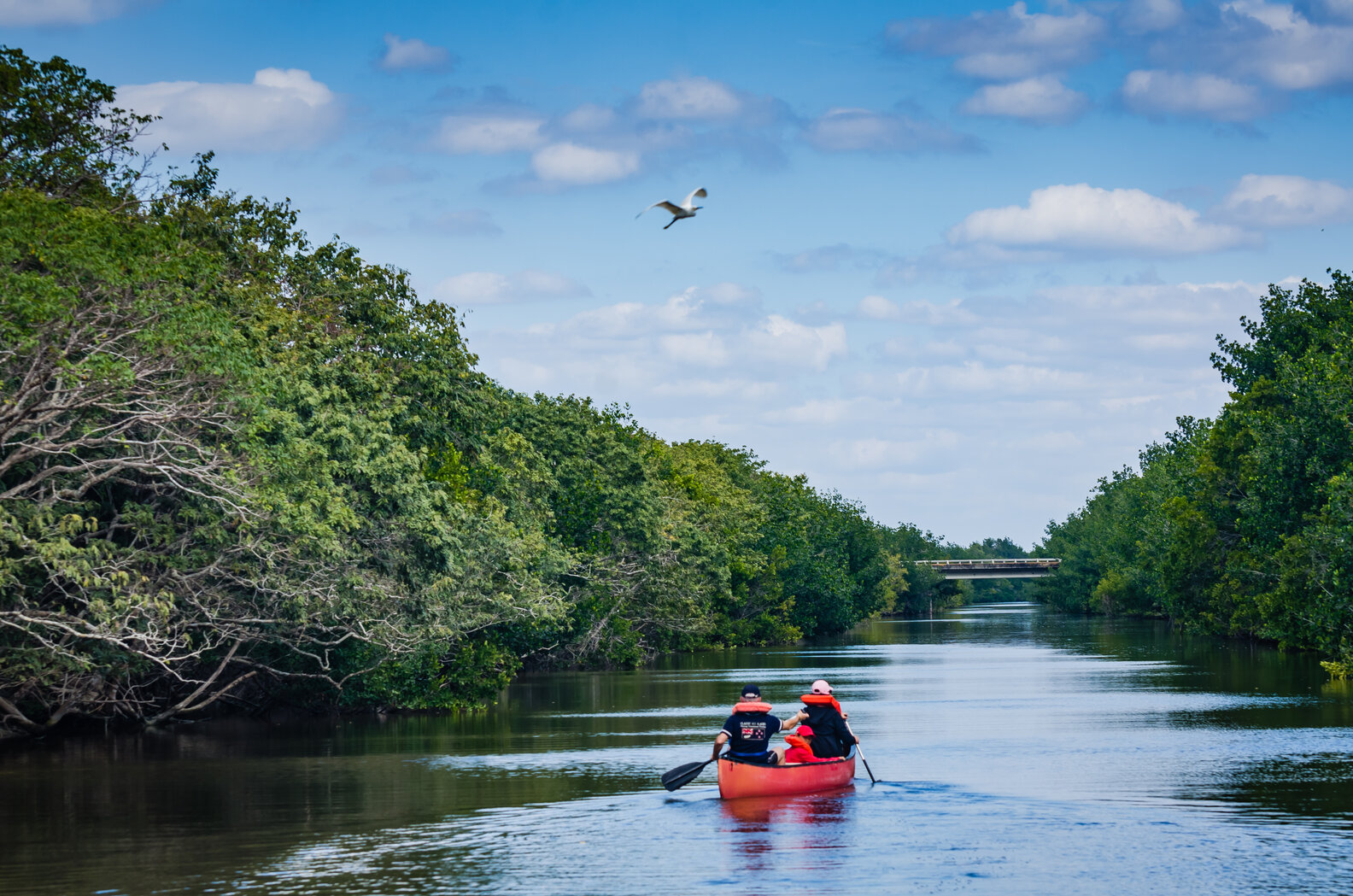 Things to Do in Everglades National Park: Biking, Snorkeling & More ...