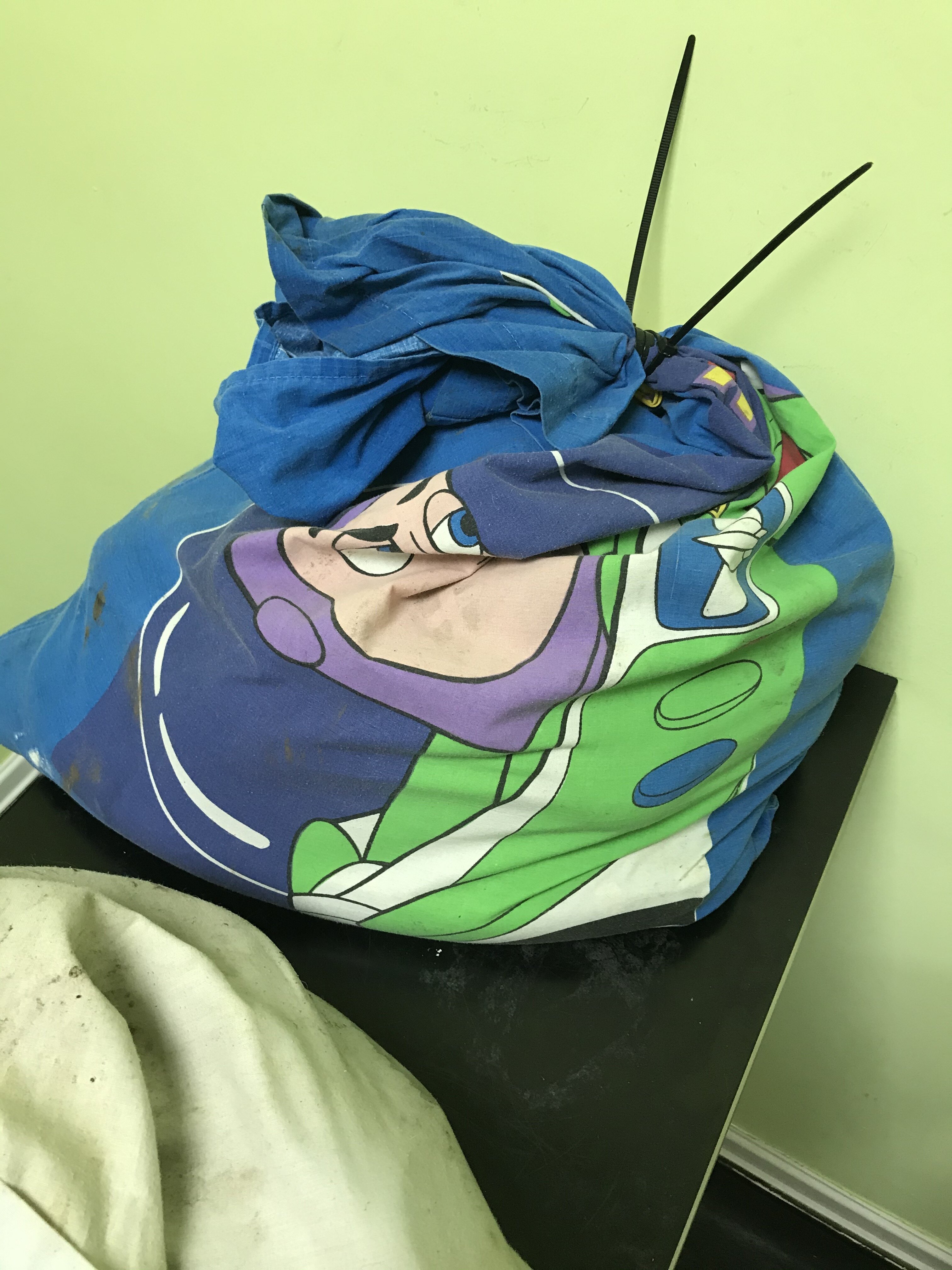 29 Snakes Found Abandoned In Pillowcases - The Dodo