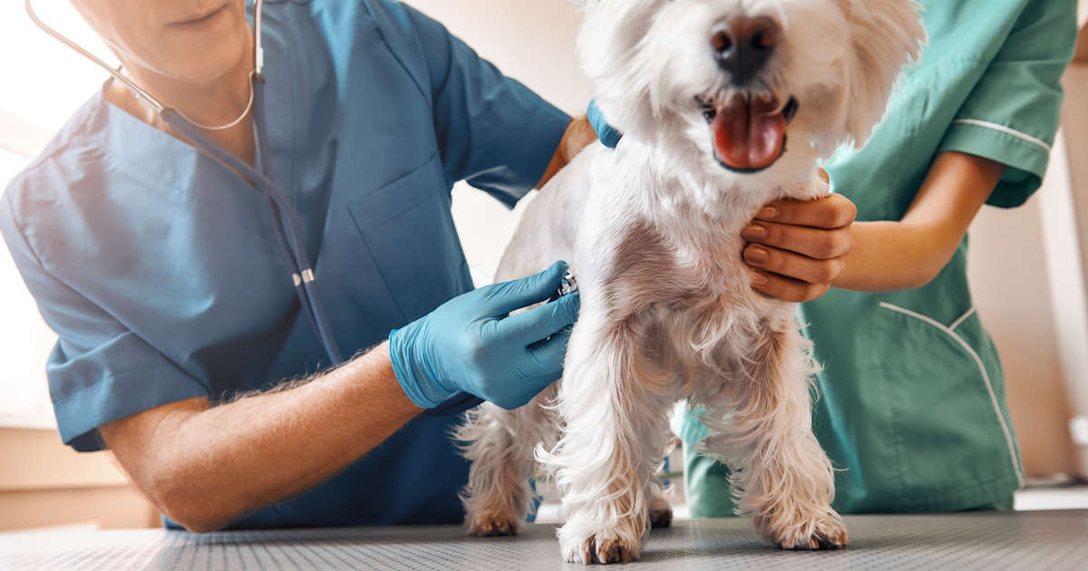 Indeed 'Best Jobs of 2020': Which Positions Made the List? - Thrillist