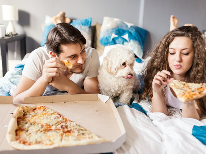 'Just Pizza & Wing Co' Put Photos of Adoptable Dogs on Take-Out Boxes ...
