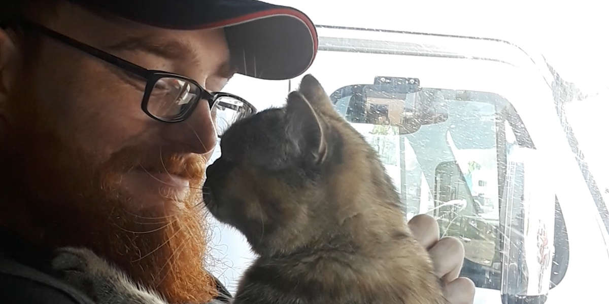 Cat Tags Along With Truck Driver On All His Trips - Videos - The Dodo