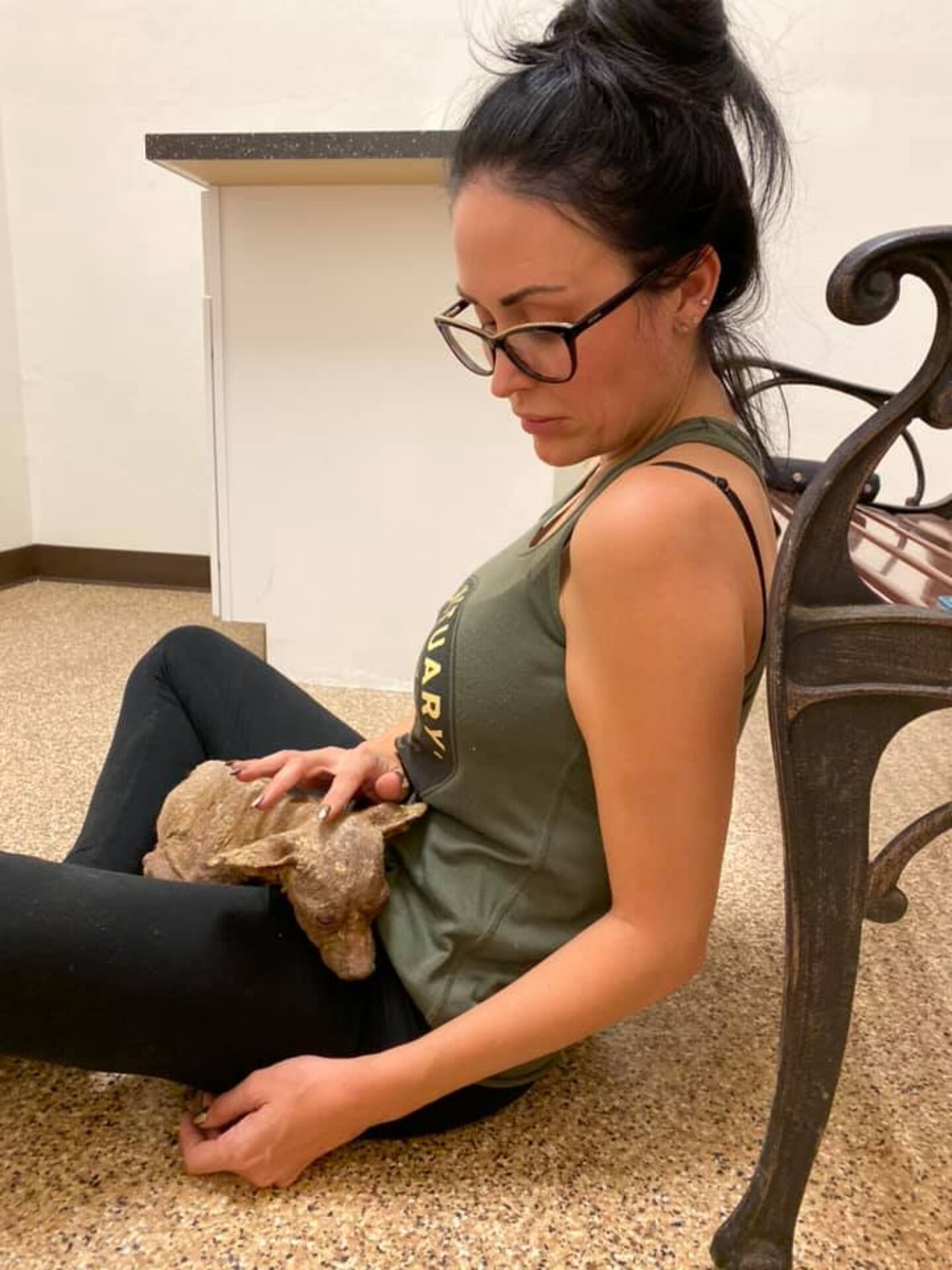 Dog Who Looked Mummified Makes Amazing Transformation - The Dodo