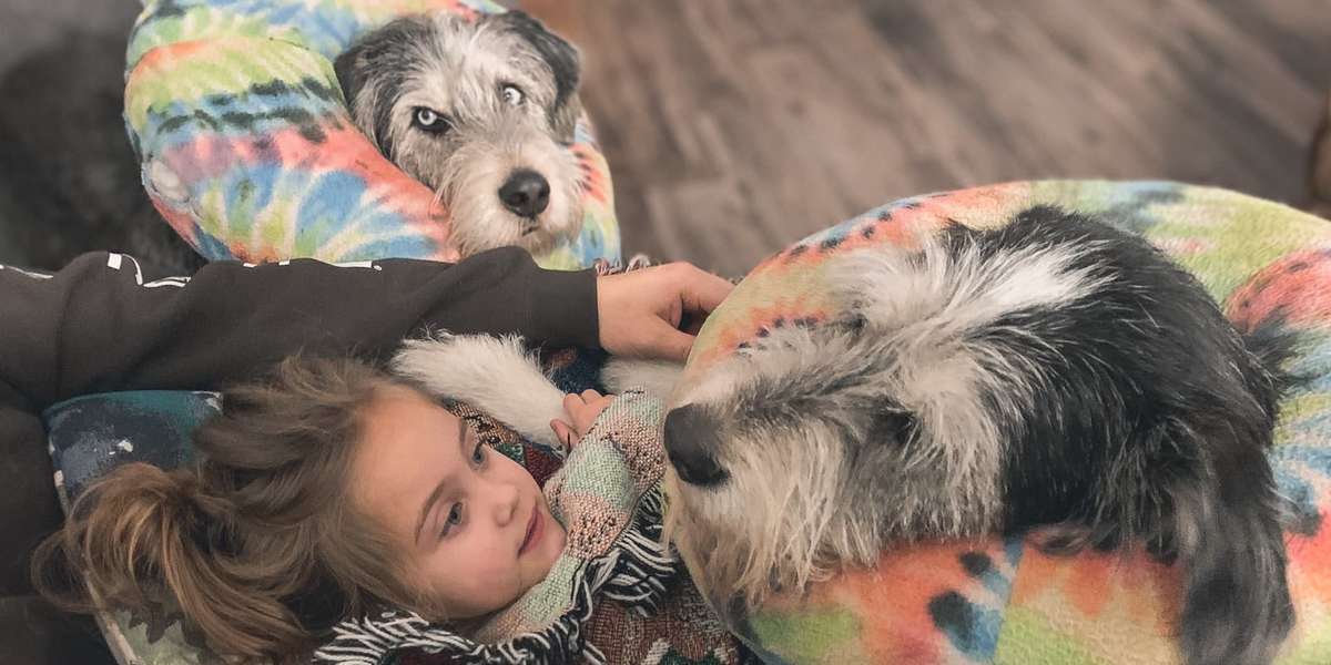 Little Girl Takes Such Good Care of Her Special Needs Rescue Siblings ...