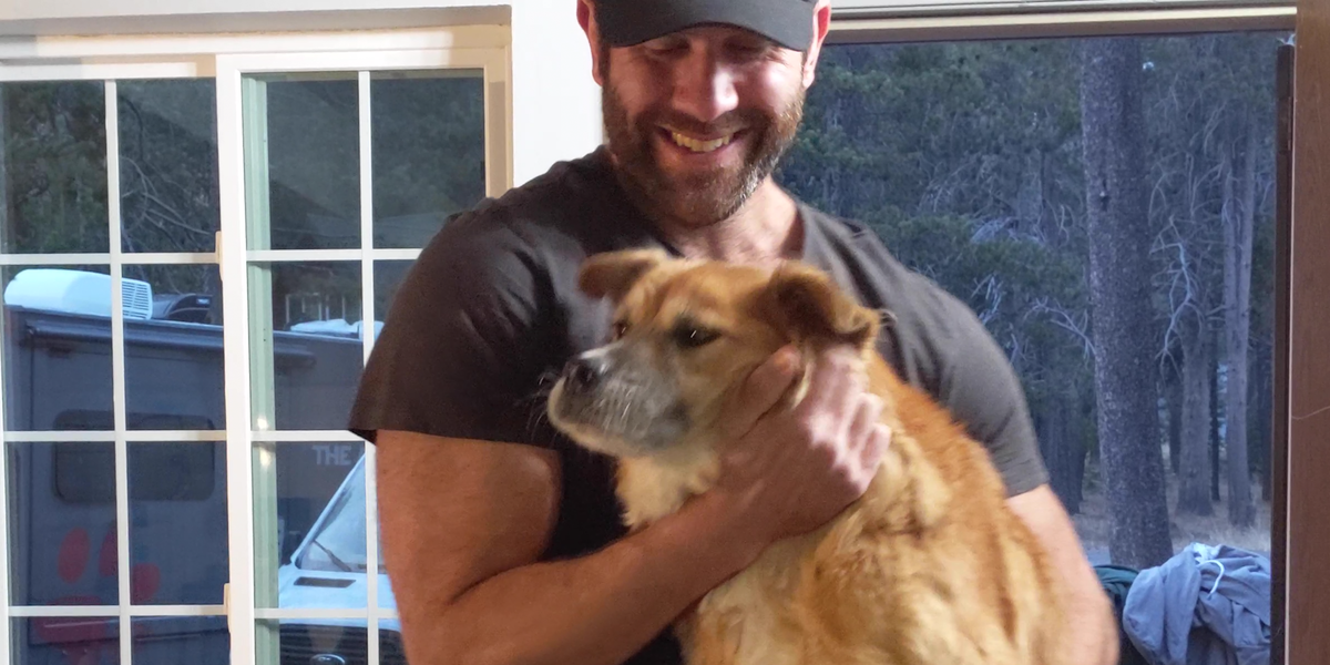 Guy With 9 Dogs Is So Tempted To Adopt 2 More - Videos - The Dodo