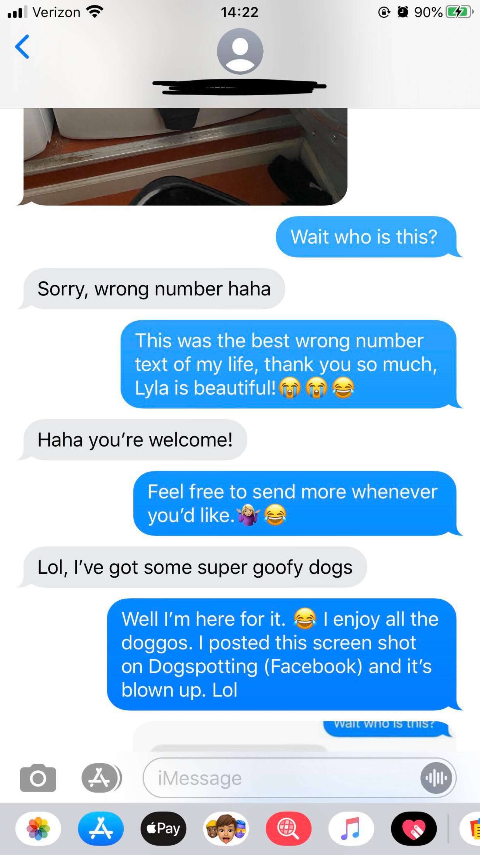 Woman Gets Best Wrong Number Text Ever - The Dodo