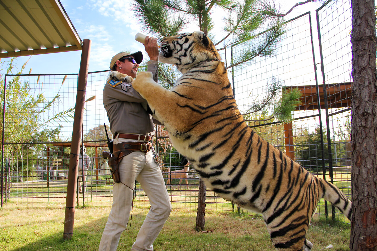 'Tiger King' Best Moments: Craziest Things from the Netflix Docuseries ...