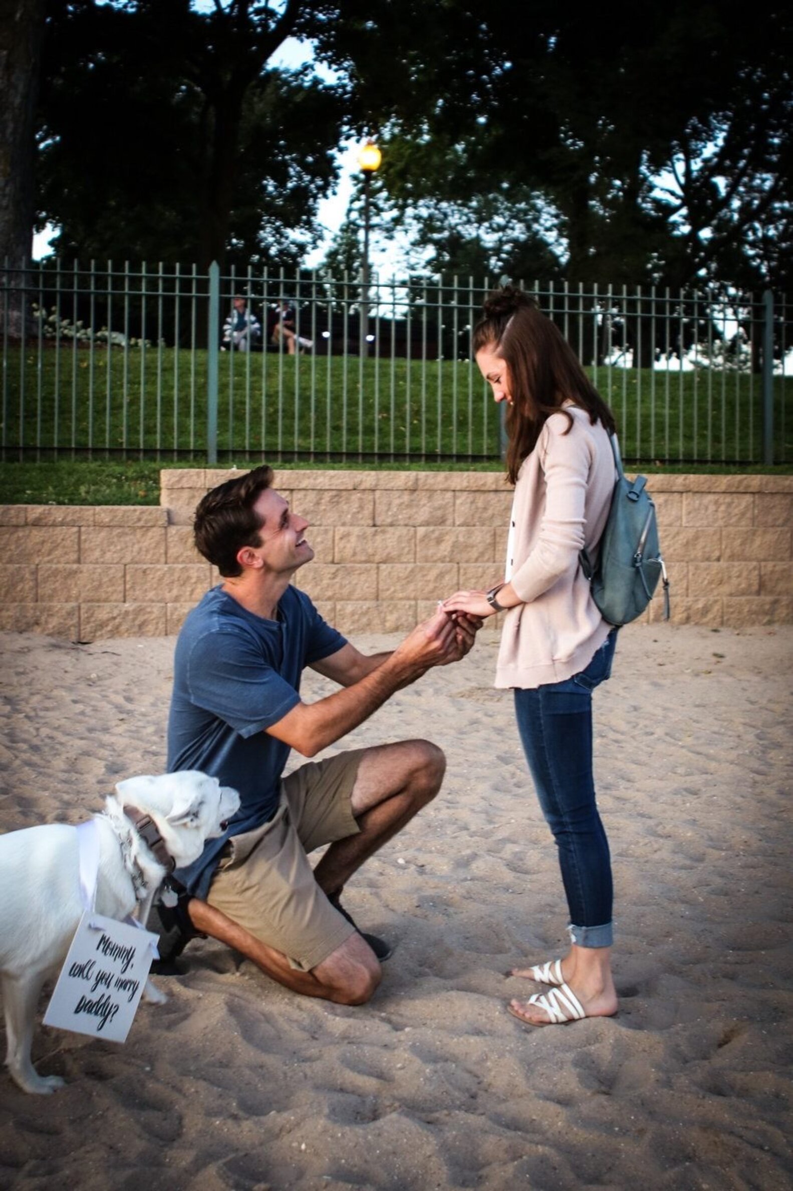 Dog Gets Distracted While Helping Dad Propose - The Dodo