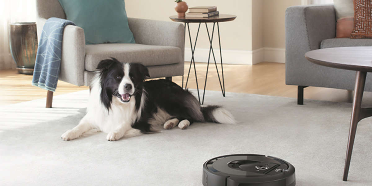 Must-Have Tech Products For Every Dog Parent - The Dodo