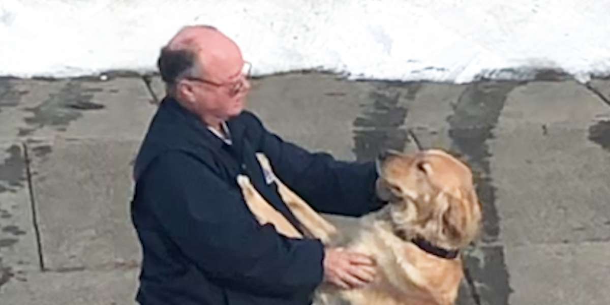 Dog And Mailman Have The Sweetest Relationship - Videos - The Dodo