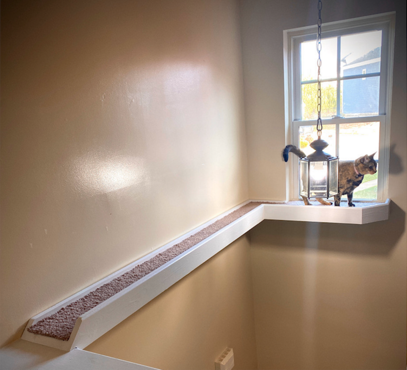 Guy Builds A Bridge To The Window His Cat Always Dreamed Of Reaching ...