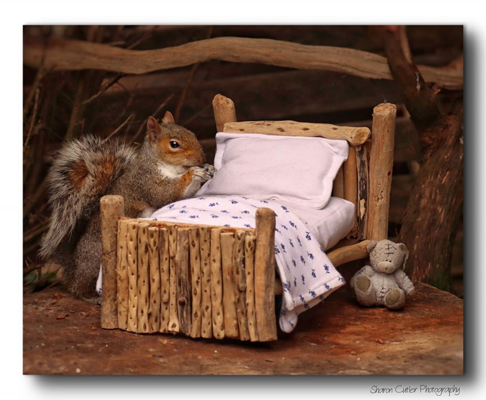 Woman Makes An Adorably Tiny Bed For Squirrels In Her Garden - The Dodo