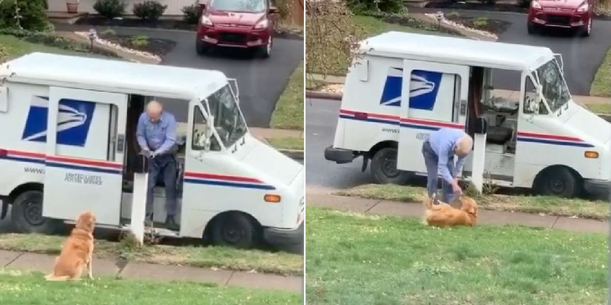 Dog Has The Sweetest Bond With Her Mailman - The Dodo