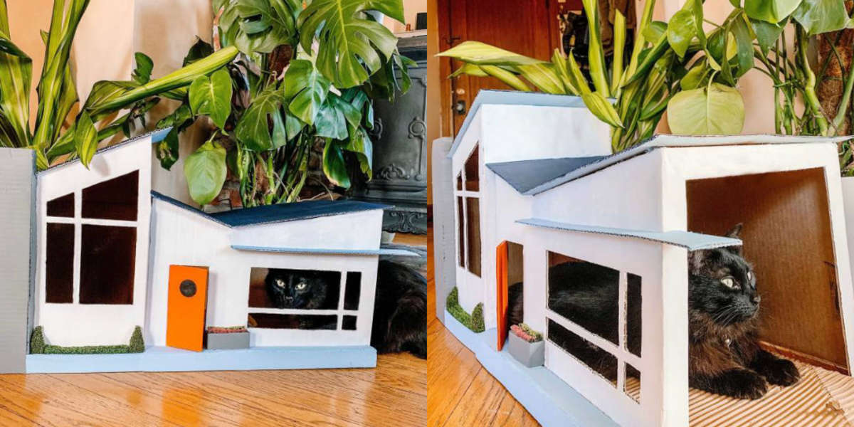 Woman Builds Cats The Cutest Mid-Century House - The Dodo