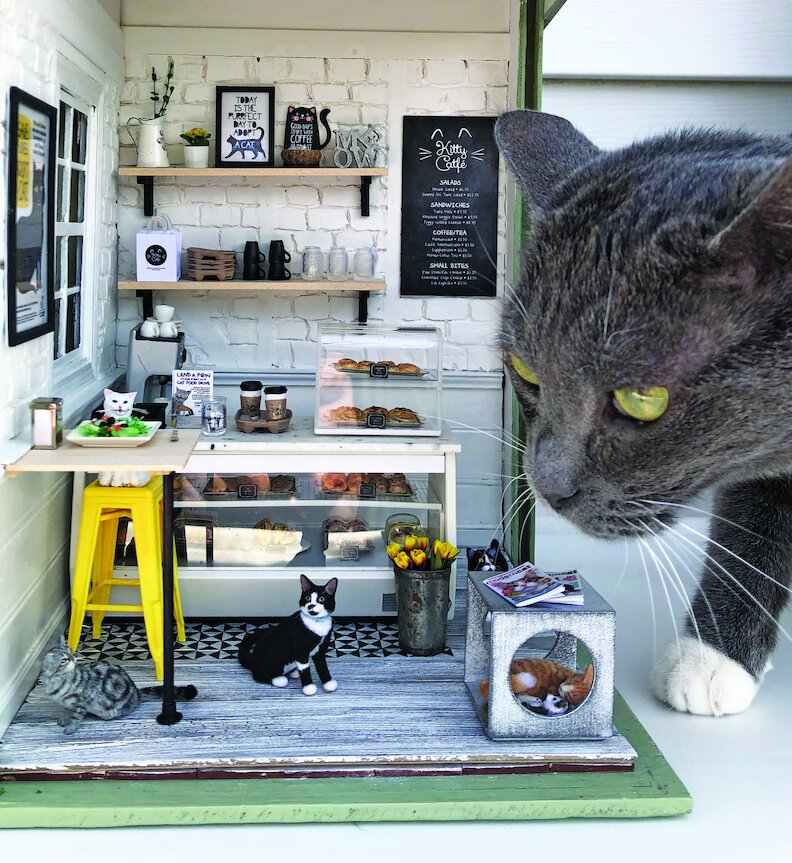Cat Loves Mom's Mini Cat Cafe - The Dodo
