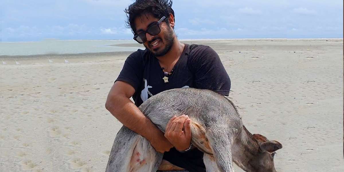 Guys Carry A Baby Cow For Miles On The Beach To Save His Life - Videos ...