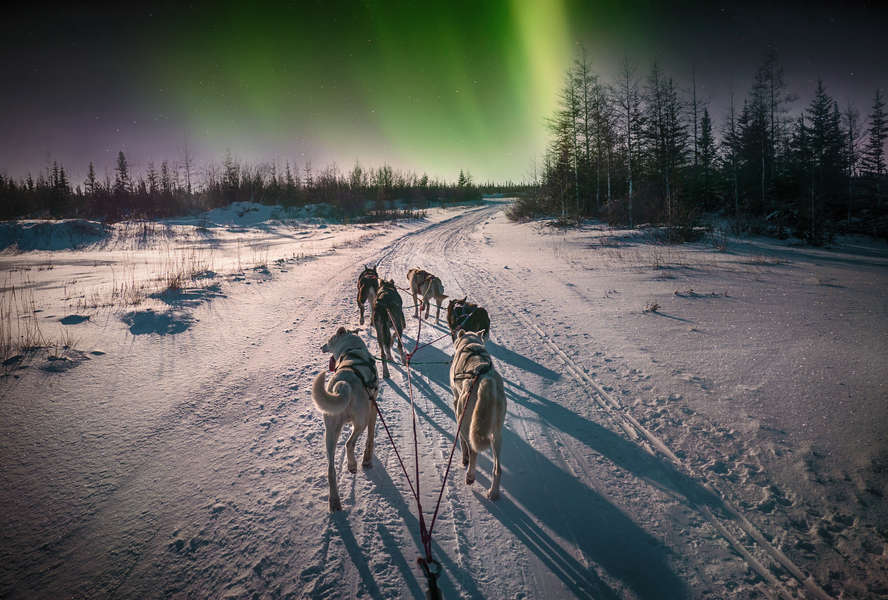 Alaska Virtual Tours: Go Dog Sledding, Catch the Midnight Sun & More ...