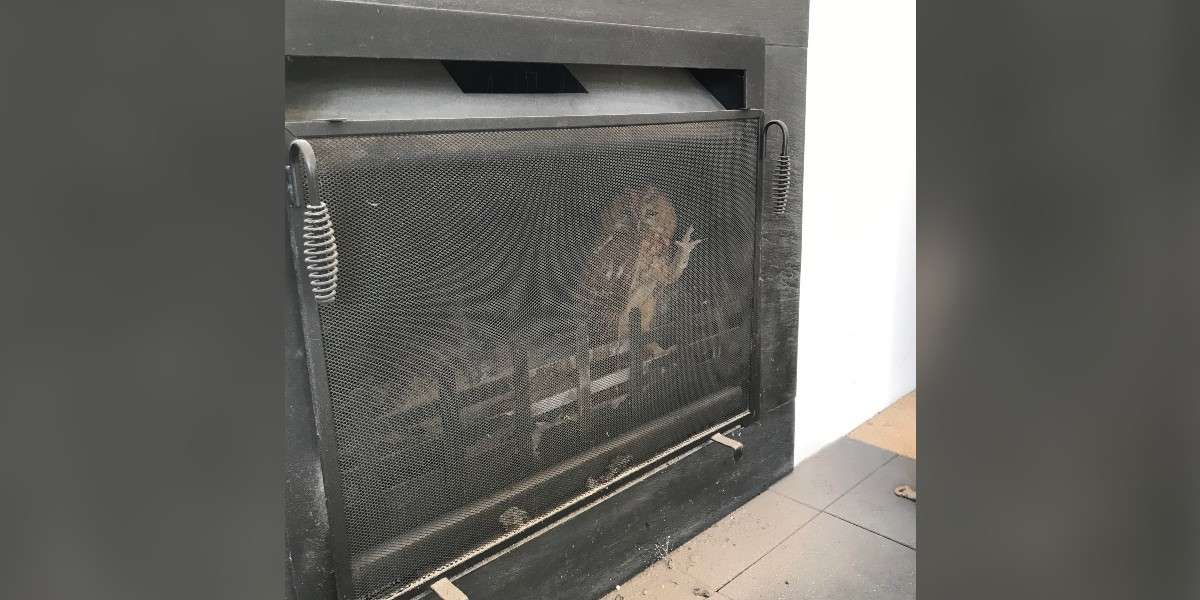 Owl Gets Stuck In Family's Fireplace - The Dodo