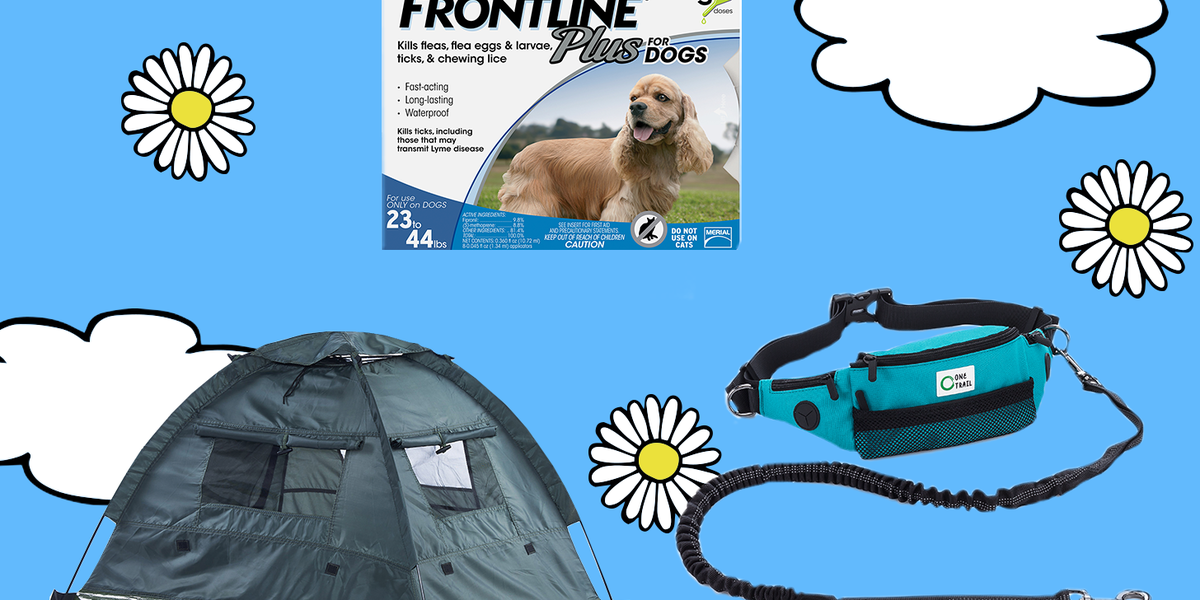 Get Ready For Summer With These Essential Pet Products - The Dodo